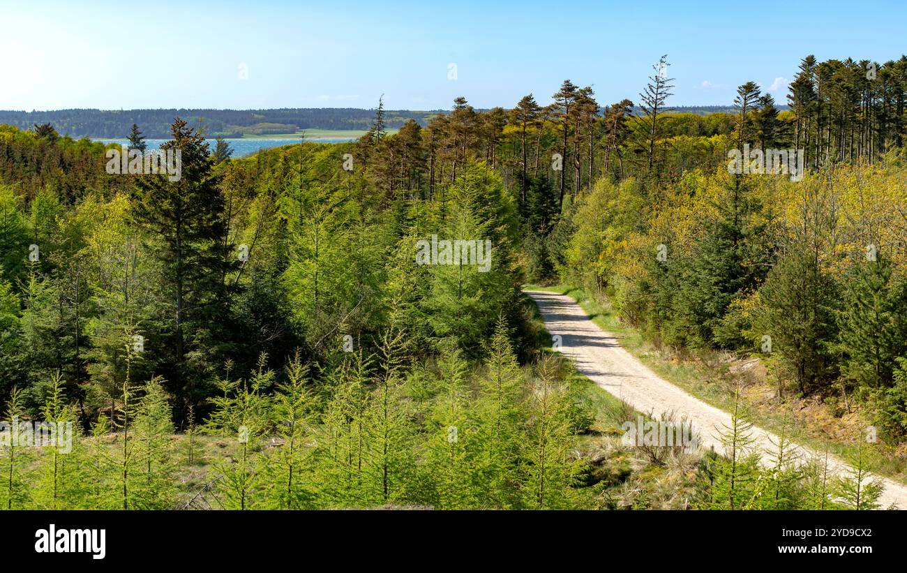 National Park Thy at the north sea coast in Denmark Stock Photo - Alamy
