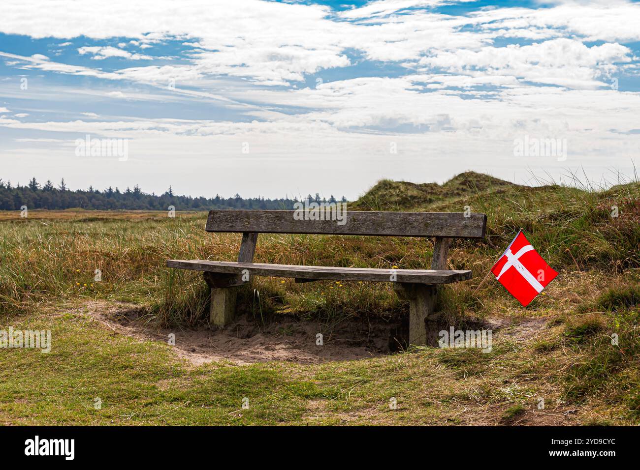 A resting place in the Danish nature and Dannebrog, the Danish national ...