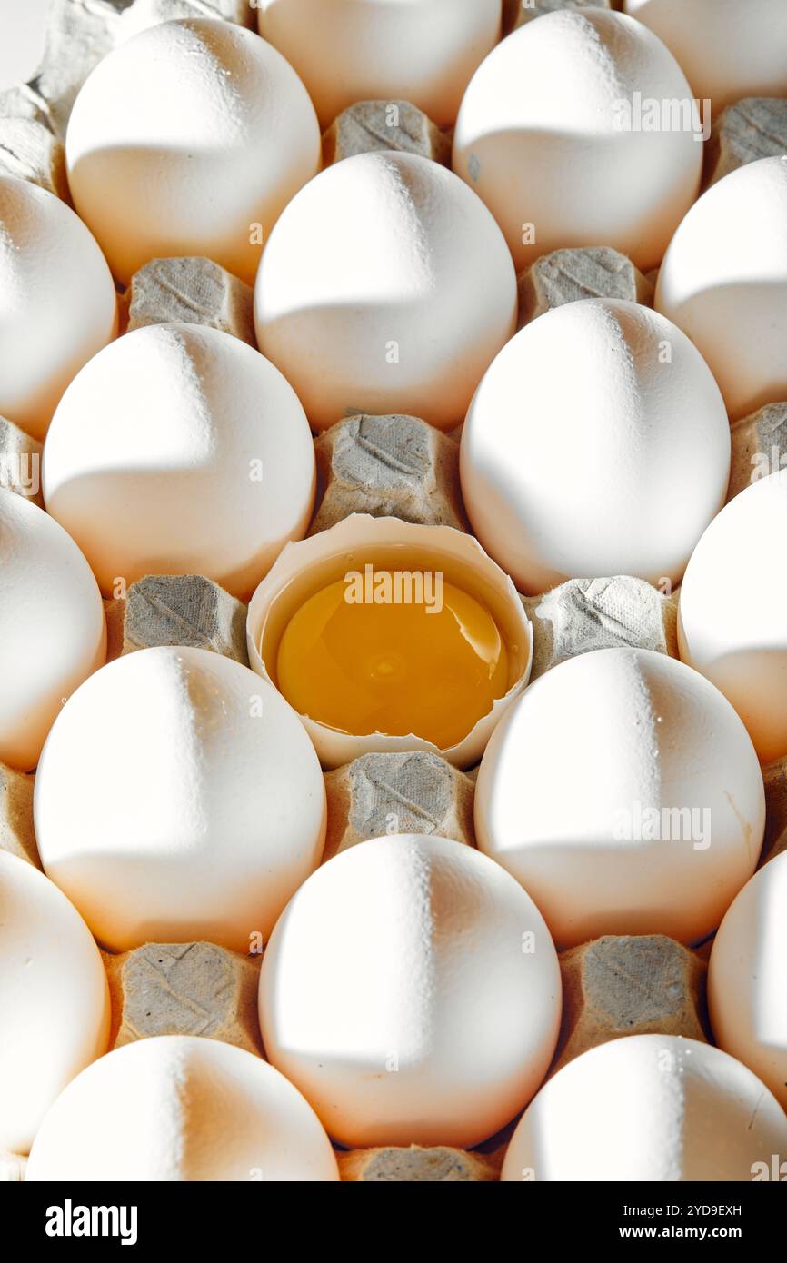 Two dozen eggs, one egg missing. The egg is yellow, the rest are white Stock Photo - Alamy