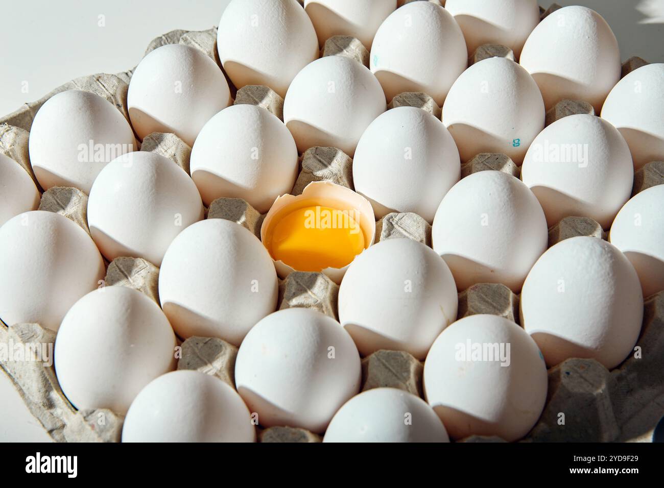 Two dozen eggs, one egg missing. The egg is yellow, the rest are white Stock Photo - Alamy