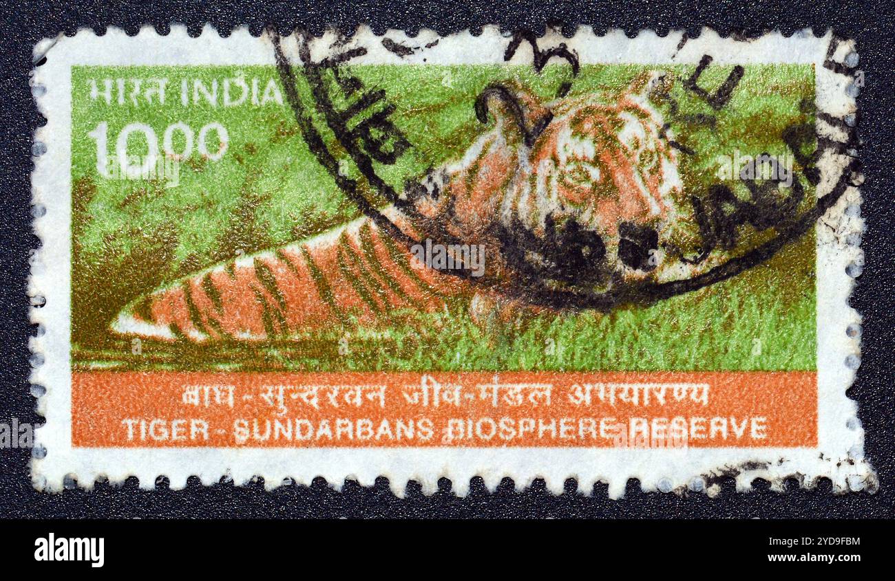 Cancelled postage stamp printed by India, that shows Tiger (Panthera ...
