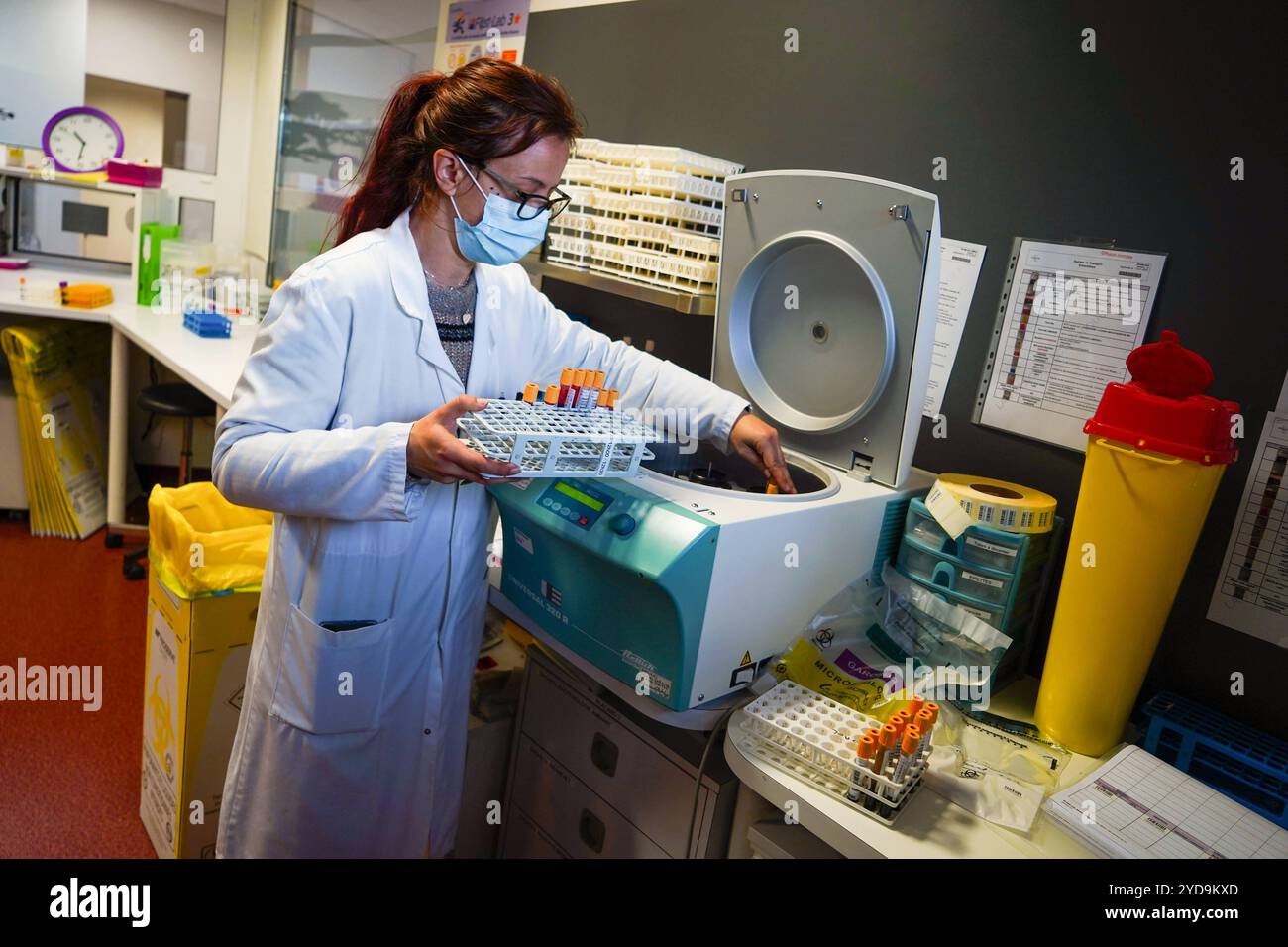 Medical analysis laboratory.ical analysis laboratory technician placing ...