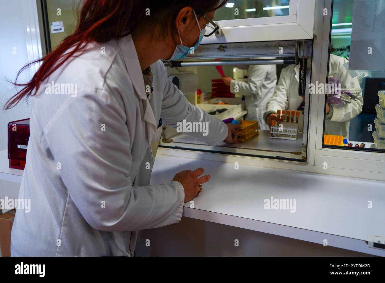 Medical Analysis Laboratory. Biomedical Analysis Technicians. Medical ...