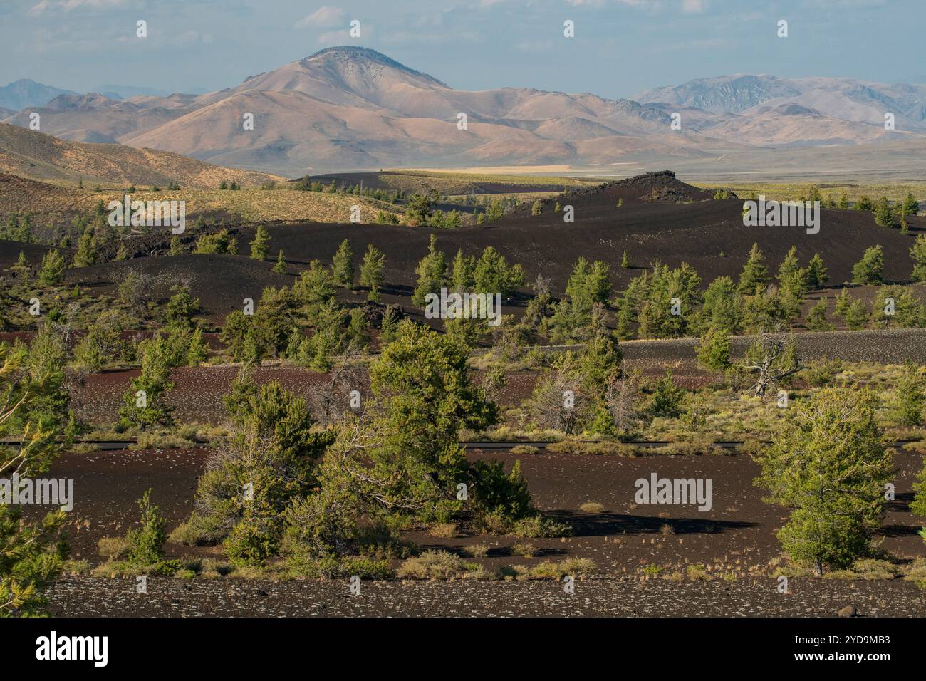 USA; Idaho, Arco, Great Basin, Craters of the Moon National Monument ...