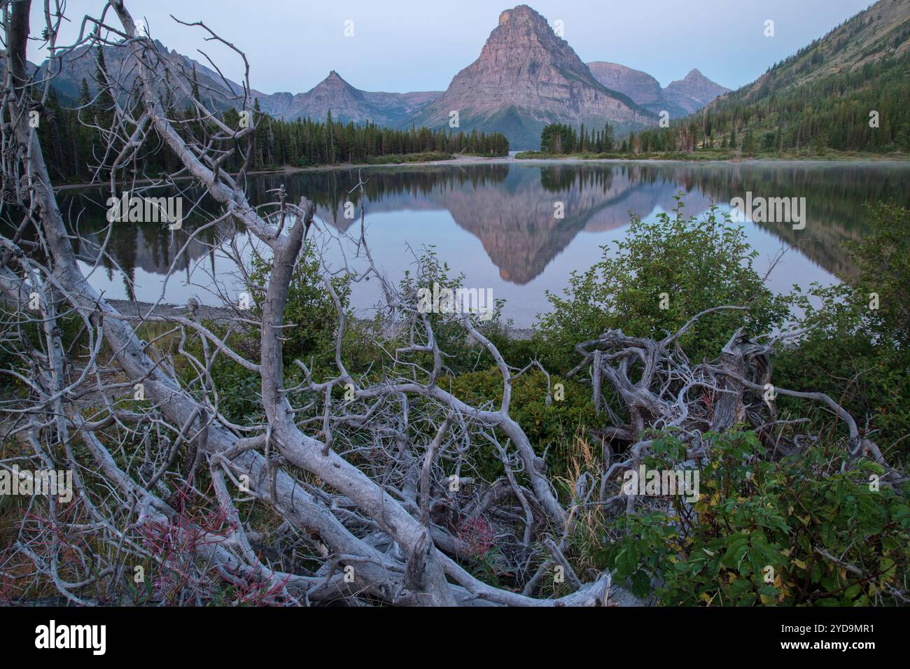 USA,Montana,Waterton-Glacier International Peace Park, Glacier National ...