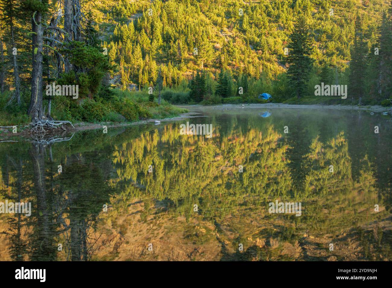 USA,Montana,Waterton-Glacier International Peace Park, Glacier National ...