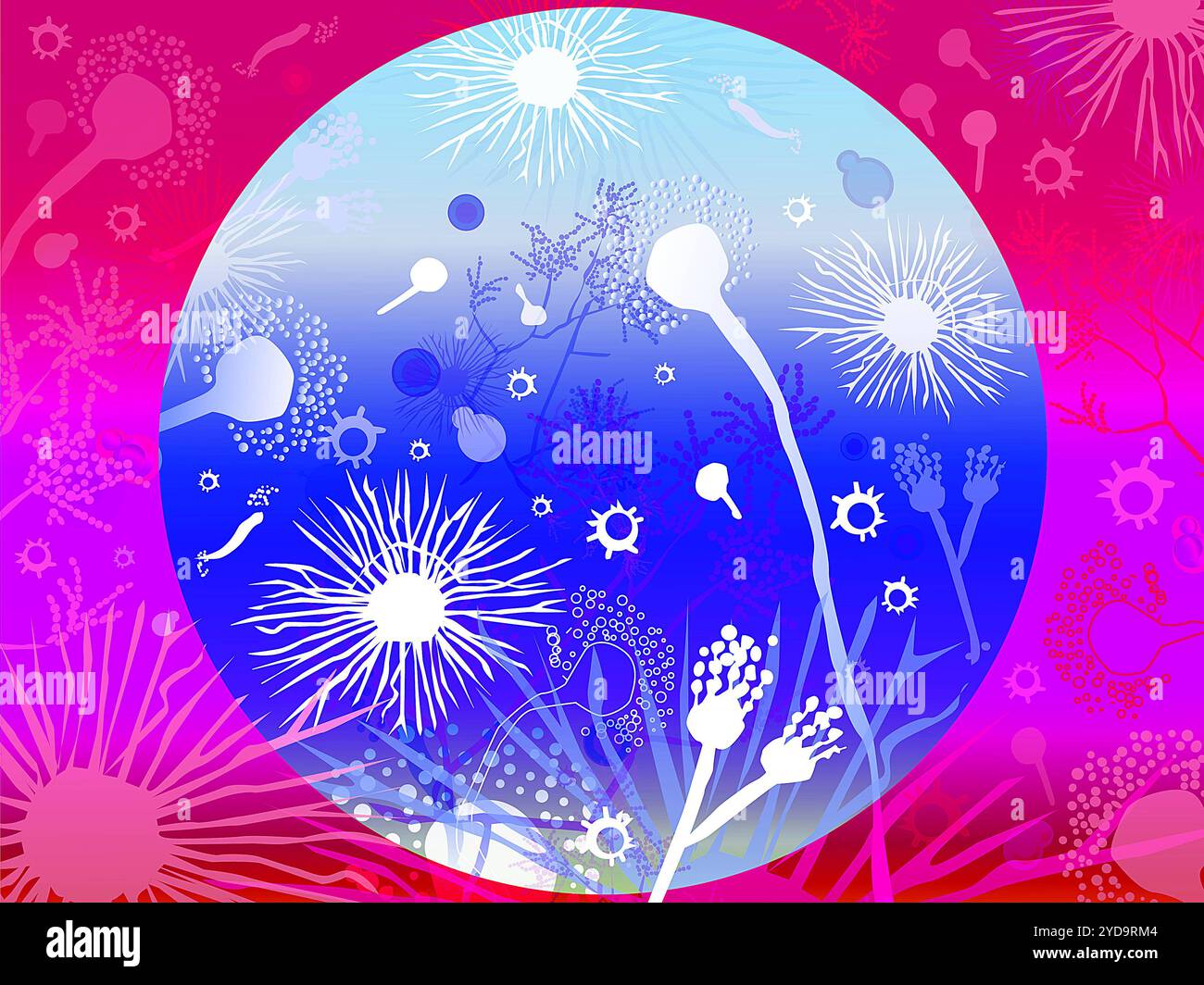 Illustration featuring shapes of various fungi that can cause illness ...