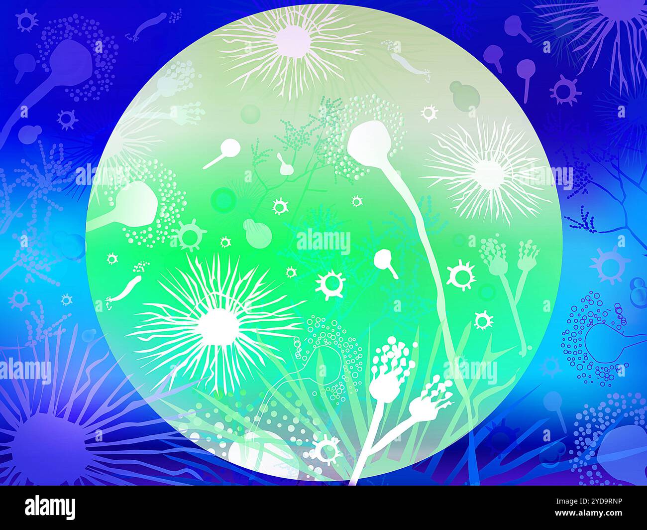 Illustration featuring shapes of various fungi that can cause illness ...