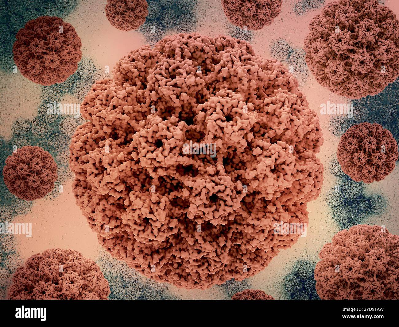 3D renderings of the human papillomavirus HPV capsid red against a ...
