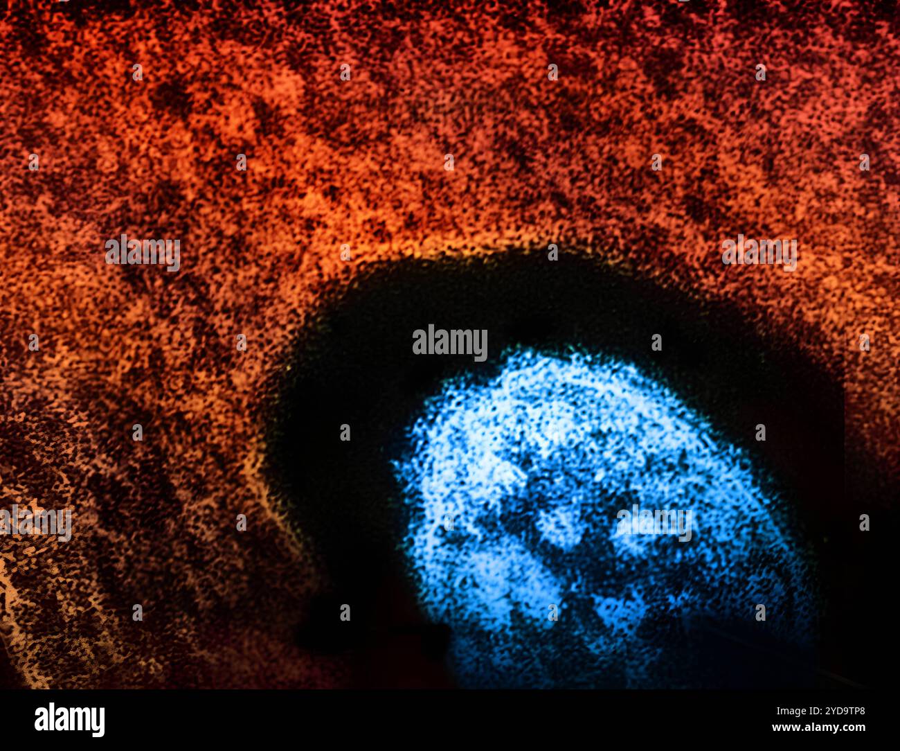 Brian W.J. Mahy, BSc, MA, PhD, ScD, DSc This transmission electron ...