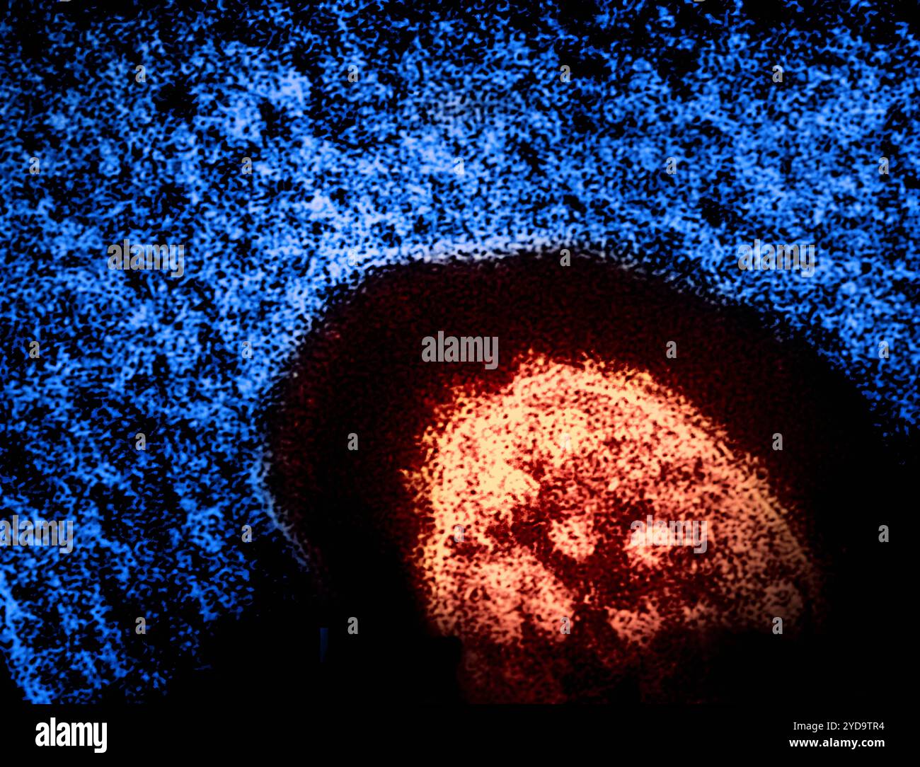 Brian W.J. Mahy, BSc, MA, PhD, ScD, DSc This transmission electron ...