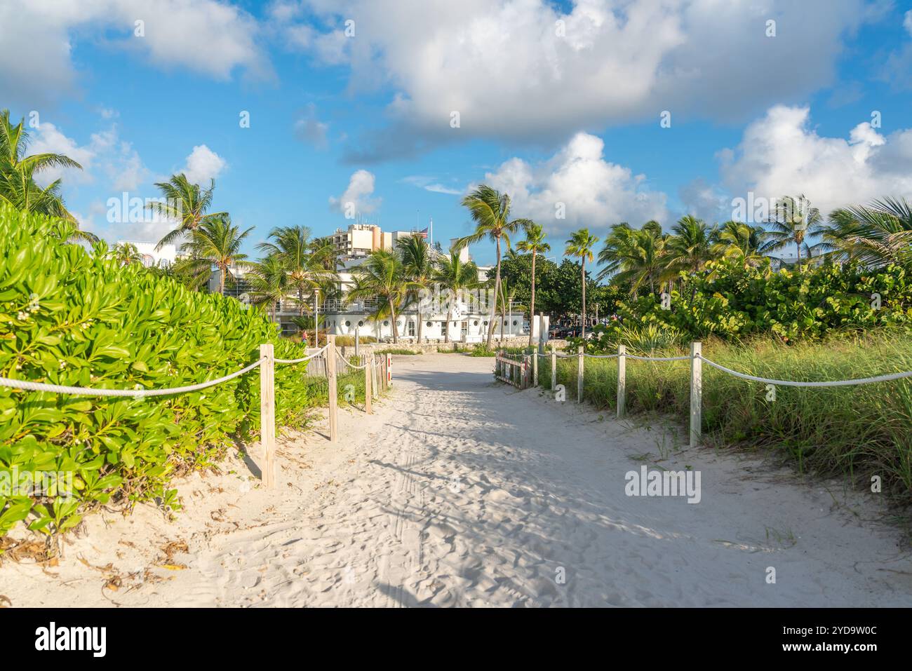 Pathway to the beach in Miami Florida with ocean background Stock Photo ...