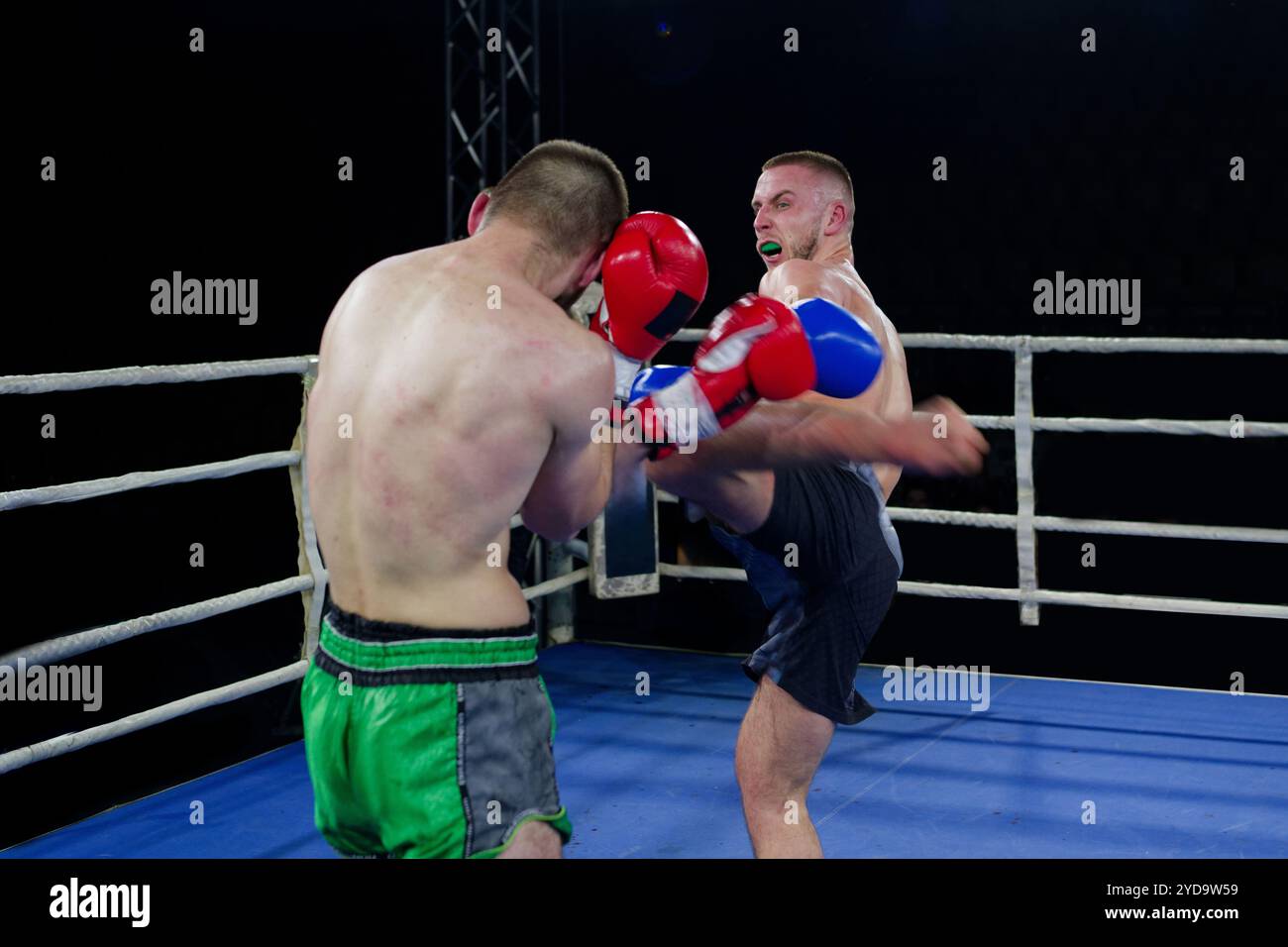 Kickboxing rivals unleash powerful leg strikes in a thrilling match ...