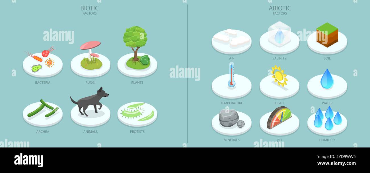 3D Isometric Flat Conceptual Illustration of Biotic And Abiotic Factors ...