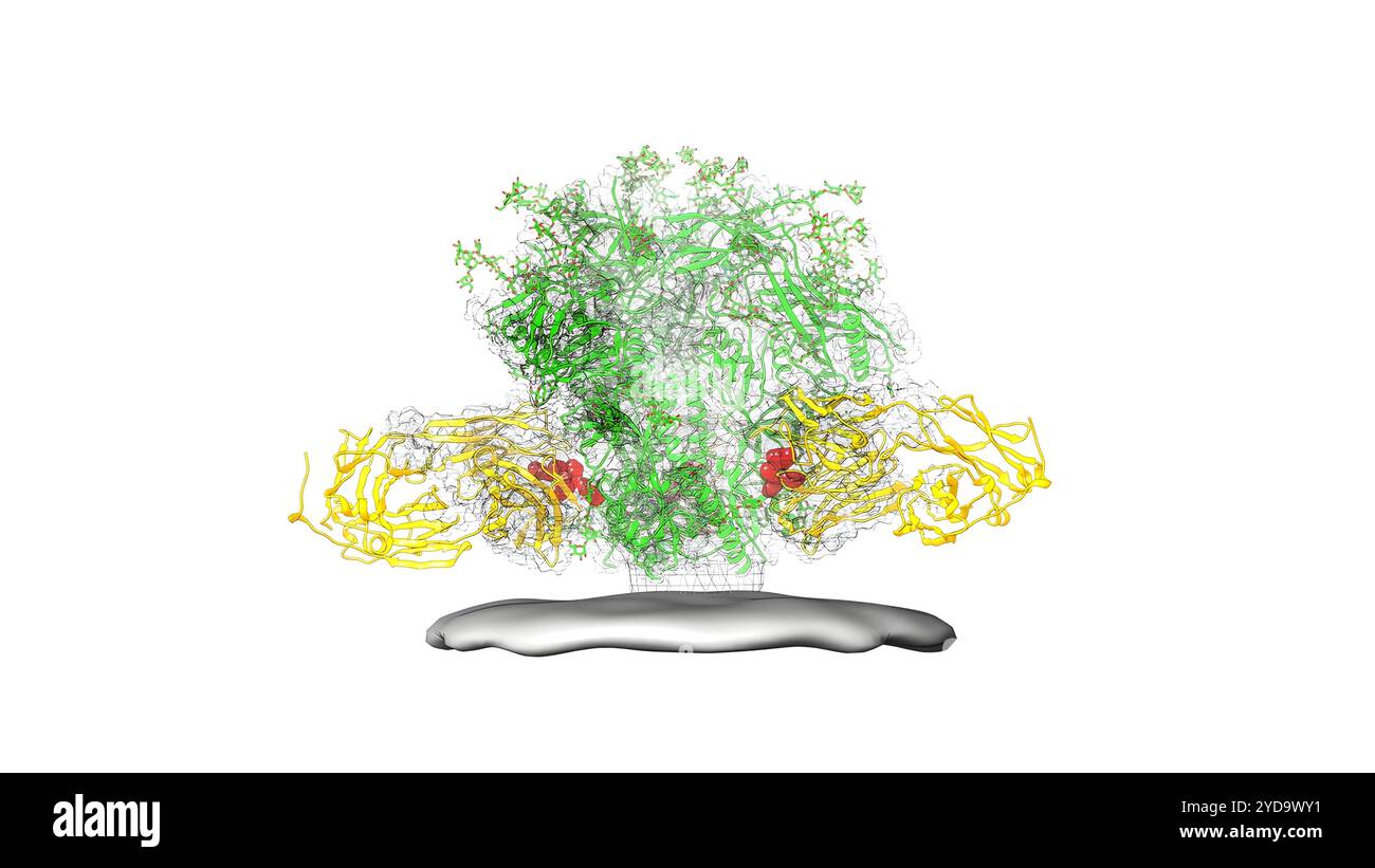 Diagram illustrates Cut Out Stock Images & Pictures - Alamy