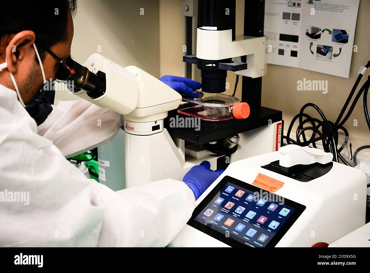 NIAID researcher uses an electron microscope. Researcher Using Electron ...