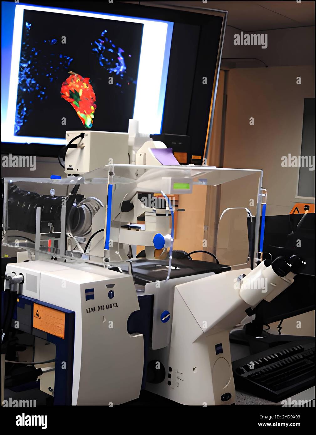 Zeiss 510 Meta confocal microscope. Zeiss 510 Meta Confocal Microscope ...