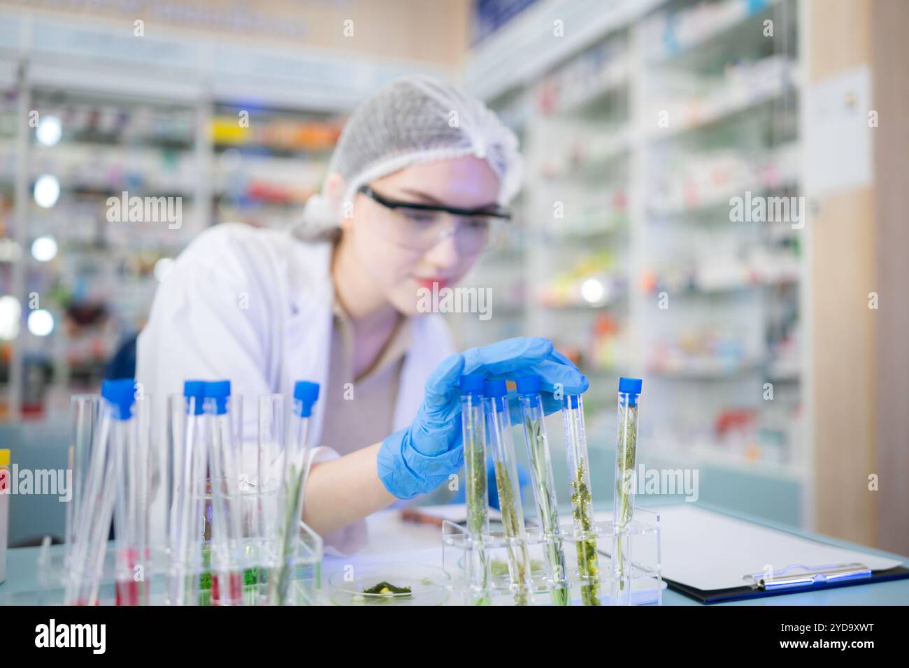 Chemical scientist doing antibiotic trials and testing in the ...