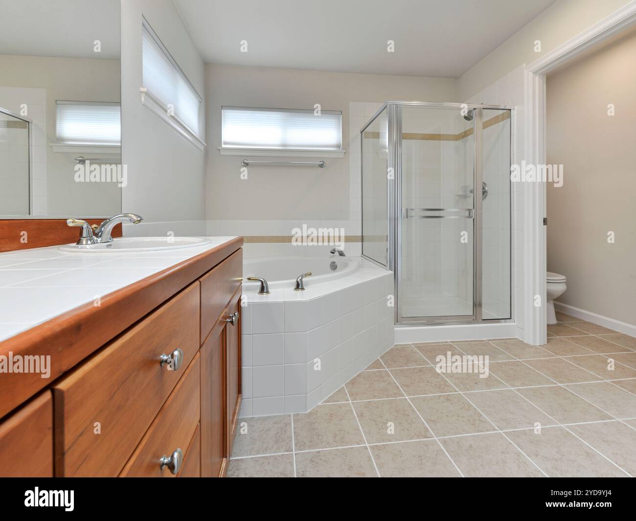 Modern residential bathroom interior Stock Photo - Alamy