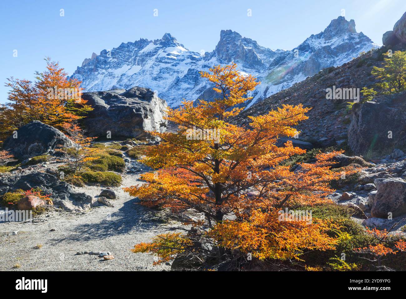 Autumn in Patagonia Stock Photo - Alamy