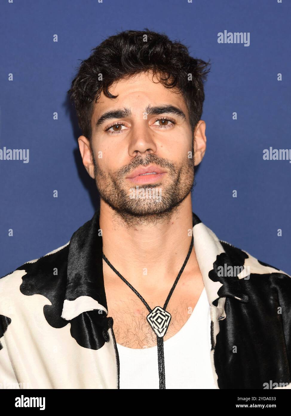 HOLLYWOOD, CALIFORNIA - OCTOBER 24: Sebastian Quinn attends the 2024 ...