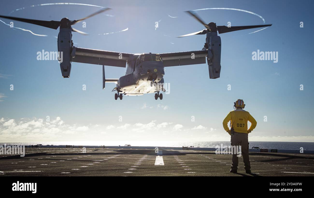 A U.S. Navy Sailor attached to the Expeditionary Sea Base (ESB) 6 USS ...