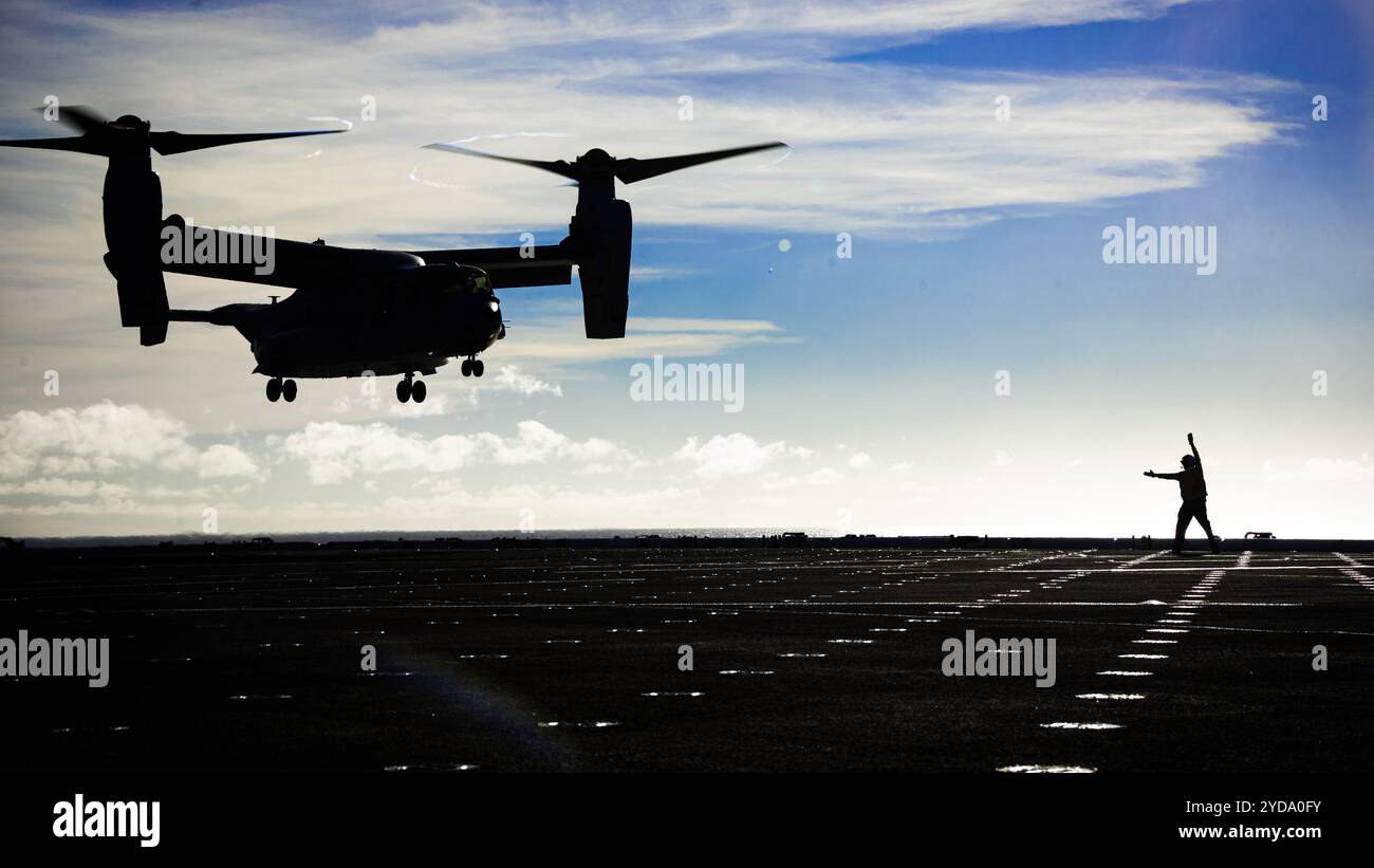 A U.S. Navy Sailor attached to the Expeditionary Sea Base (ESB) 6 USS ...