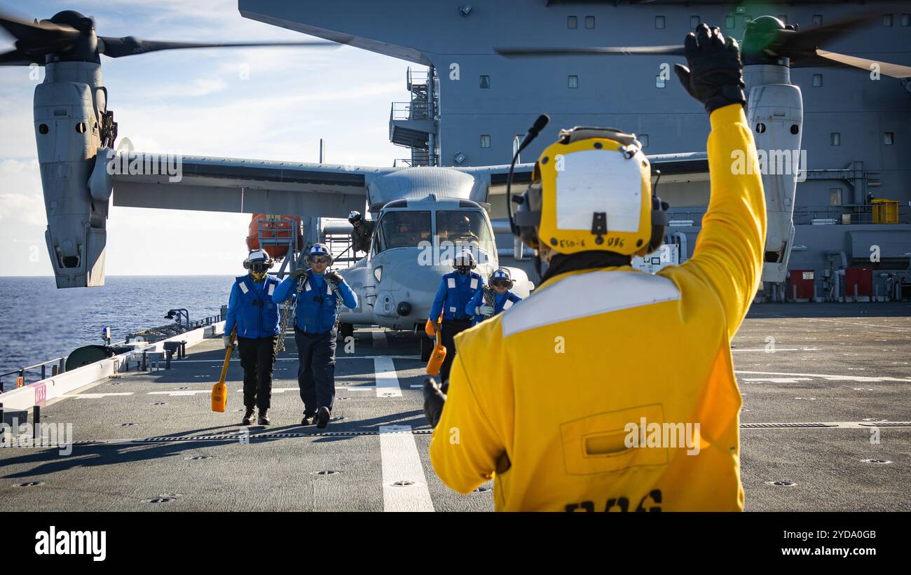 A U.S. Navy Sailor attached to the Expeditionary Sea Base 6 (ESB) USS John L. Canley ...