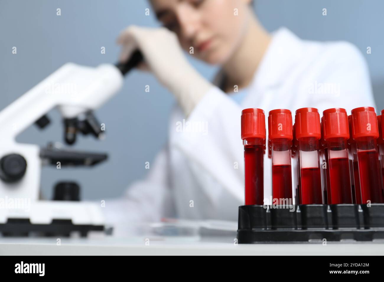 Laboratory testing. Doctor working with microscope at table indoors ...