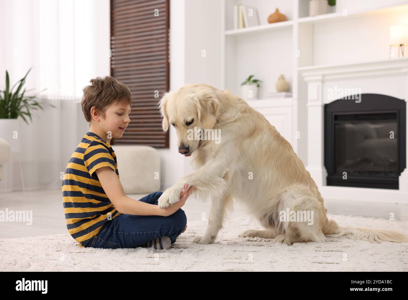 Boy training his pet dog hi-res stock photography and images - Alamy
