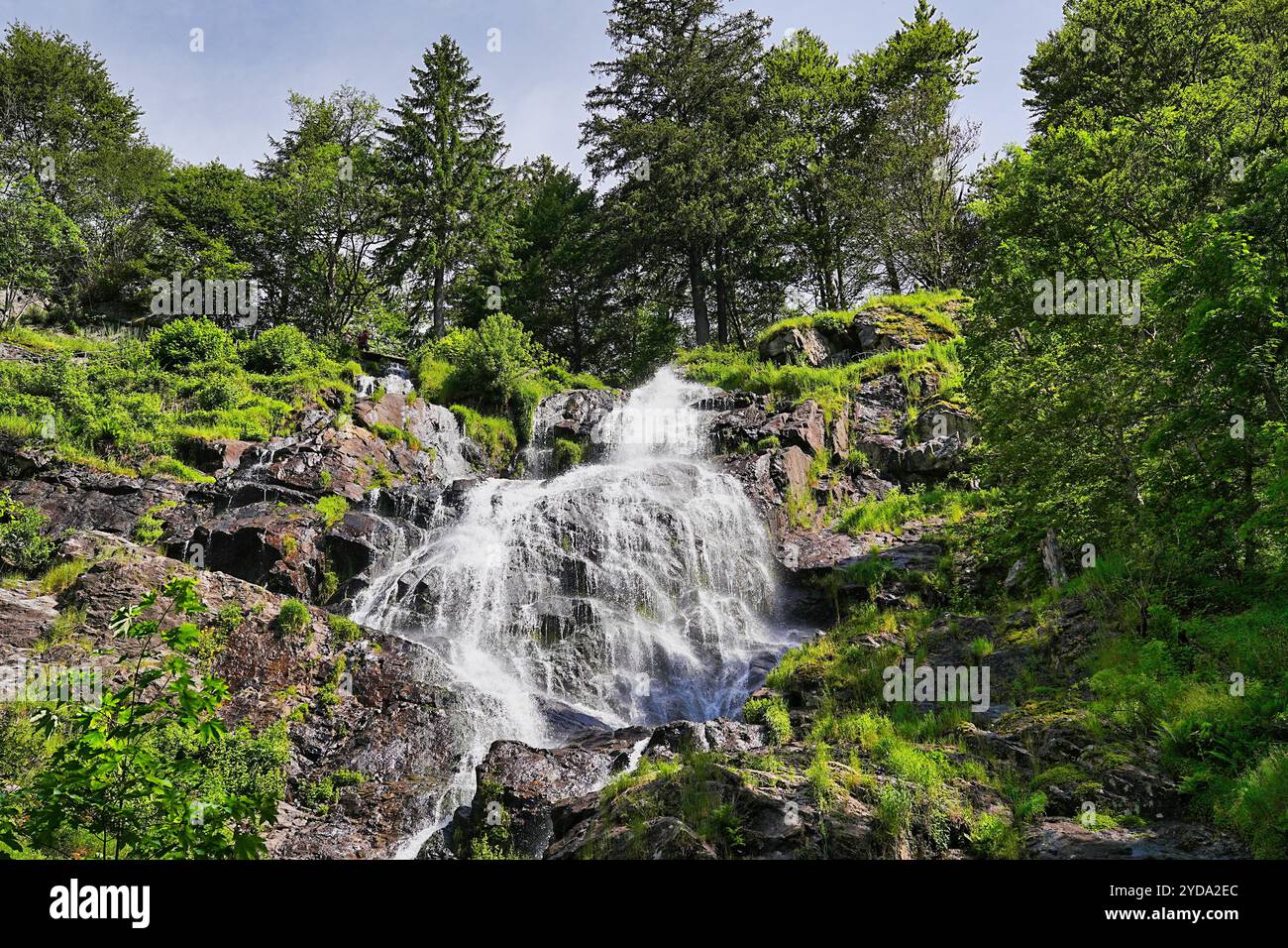 Todtnau waterfalls in the Black Forest Stock Photo - Alamy
