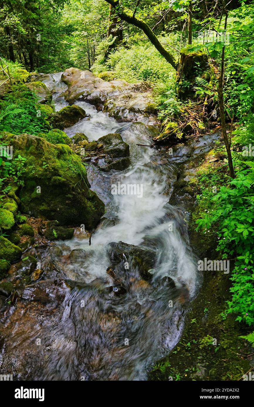 Todtnau waterfalls in the Black Forest Stock Photo - Alamy