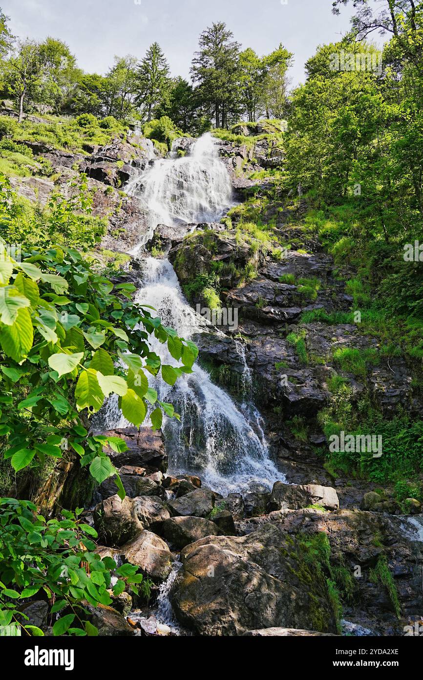 Todtnau waterfalls in the Black Forest Stock Photo - Alamy