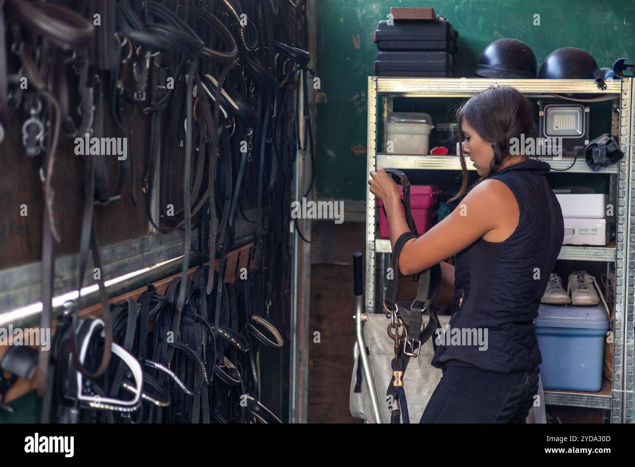 woman rider is in the tack room of a riding school, carefully choosing ...