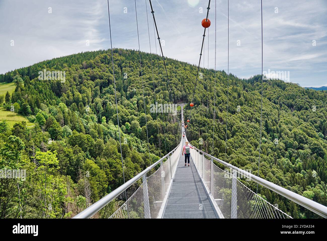 Todtnauer bridge hi-res stock photography and images - Alamy