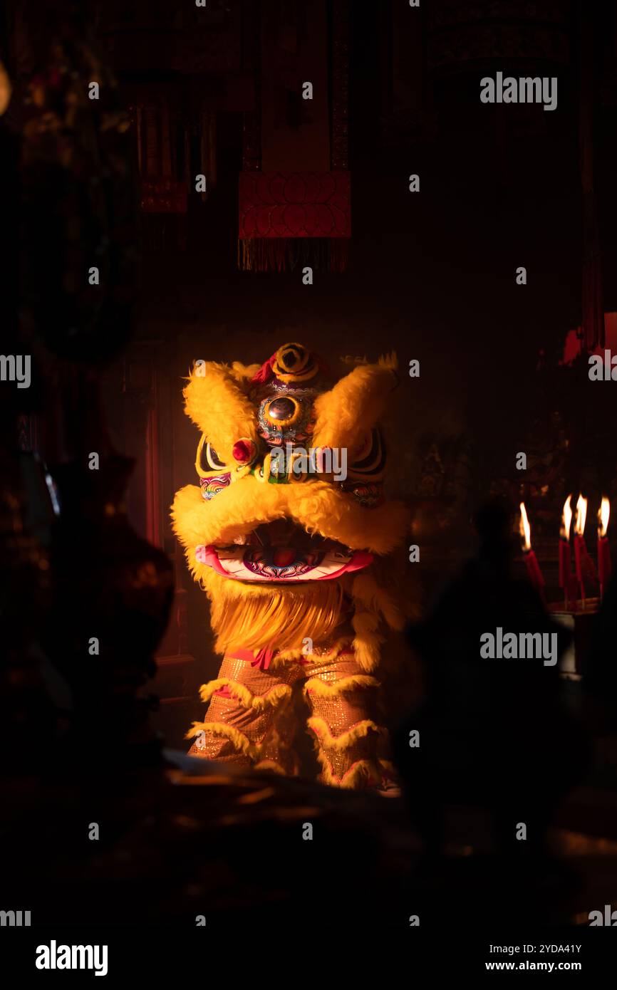 Two lion dance performers hi-res stock photography and images - Alamy