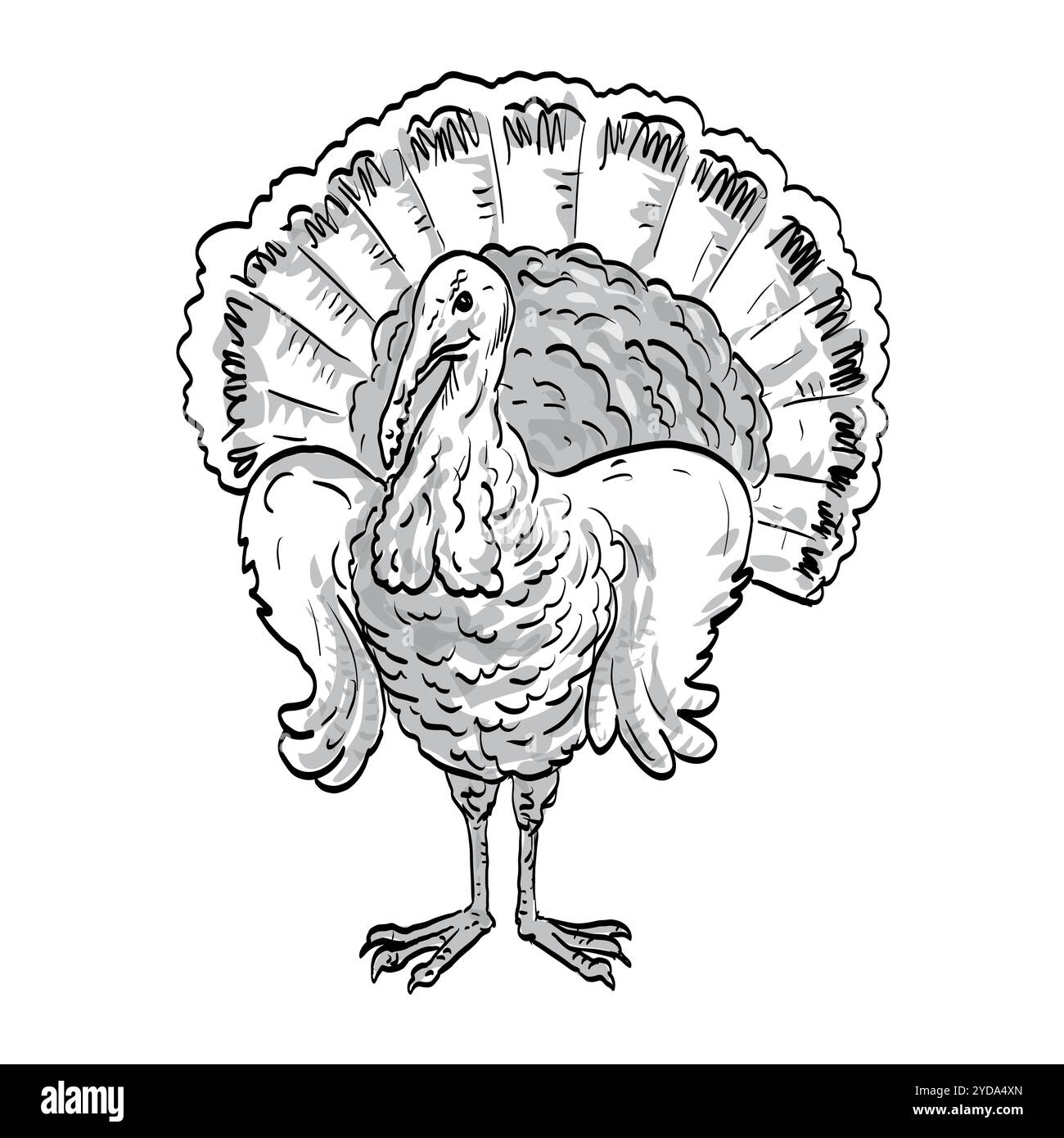 Cartoon style illustration of a wild turkey with hands on hips viewed ...
