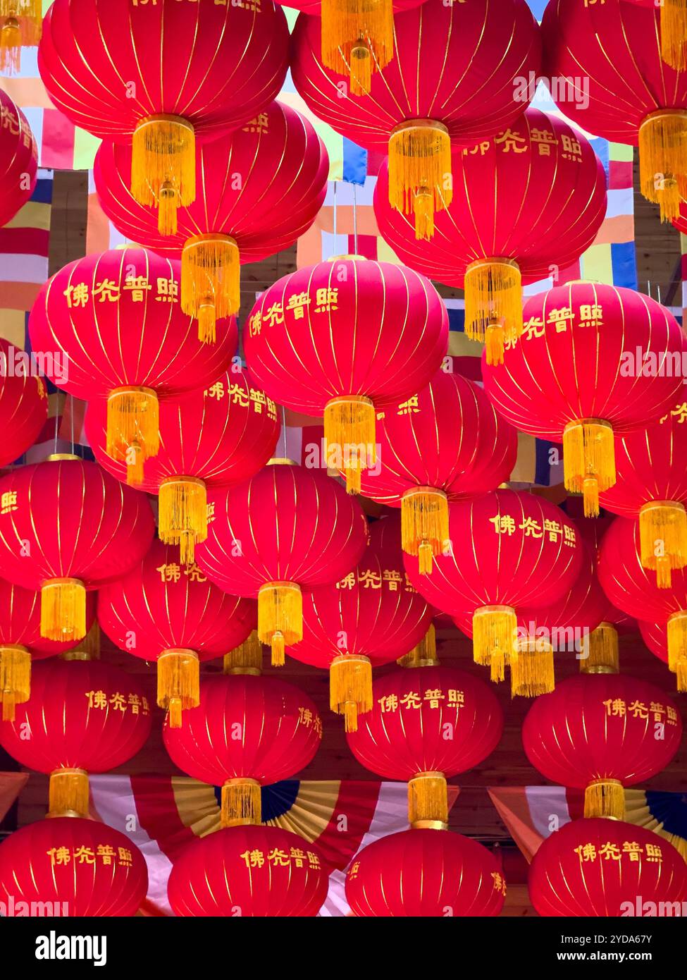 Vibrant Red Lanterns are Perfect for Celebrations, Special Ceremonies ...