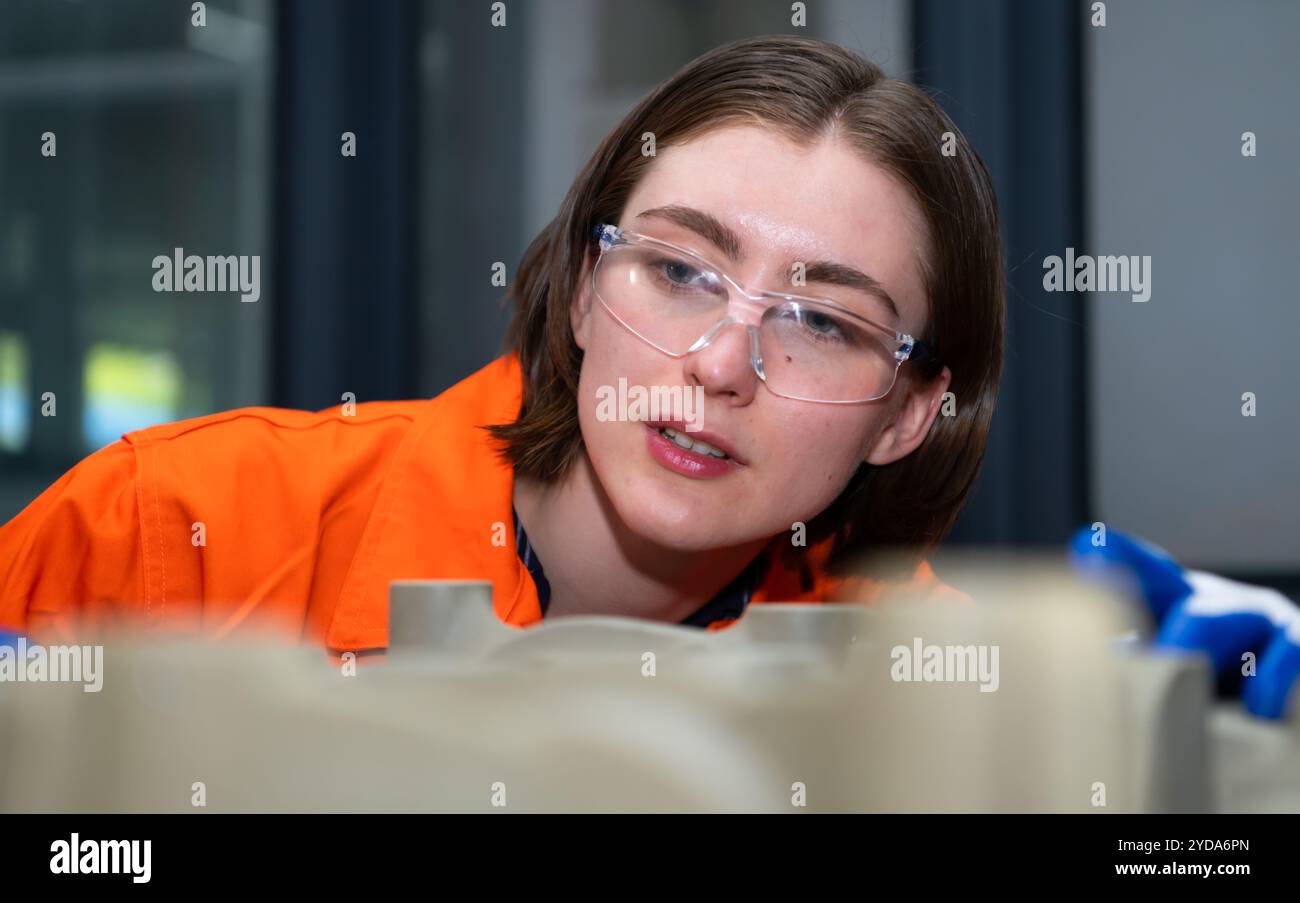 3D printer print job that the technician must examine the details of ...