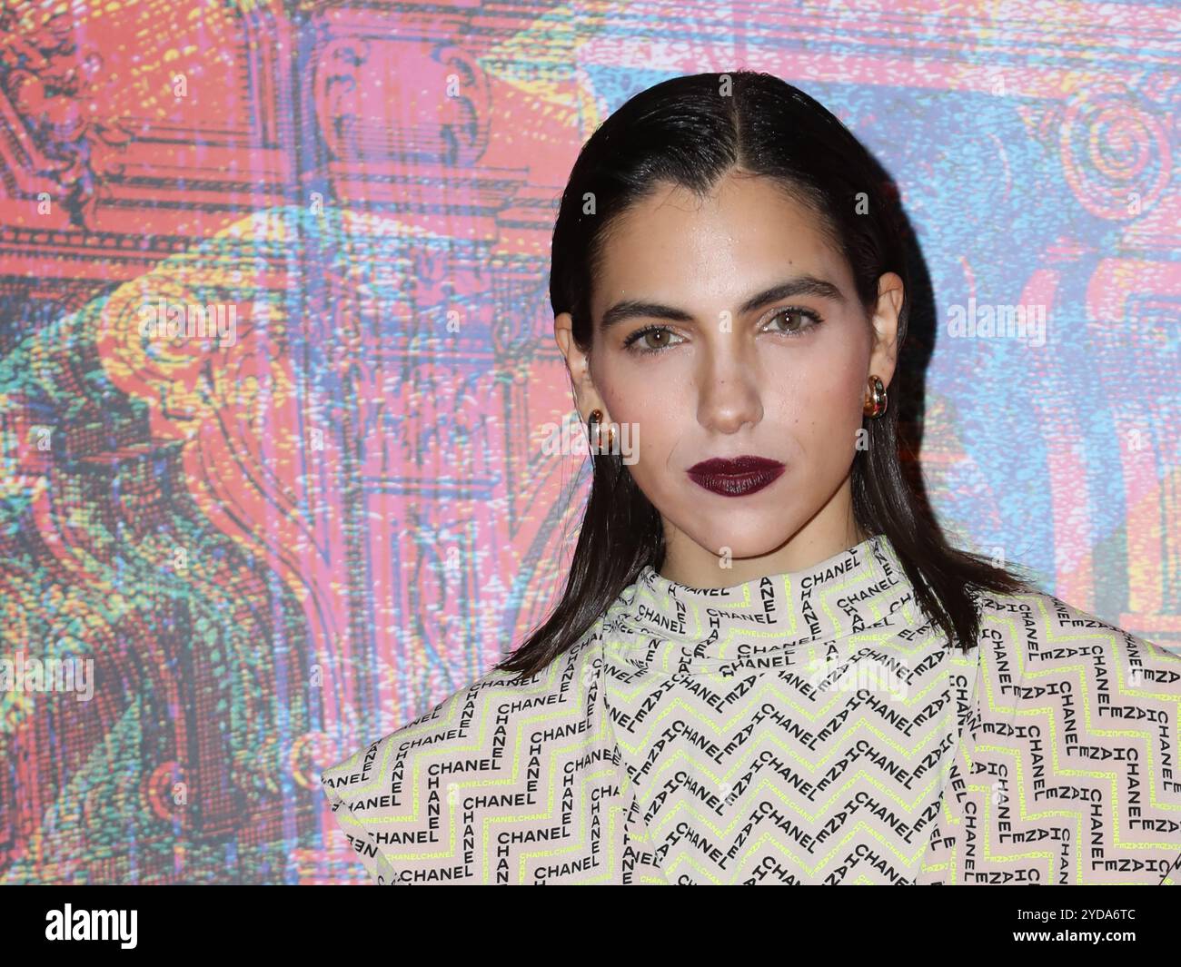 Roma Cinema Fest 2024. Rome Film Fest. Red carpet series "The bad guy 2 ...