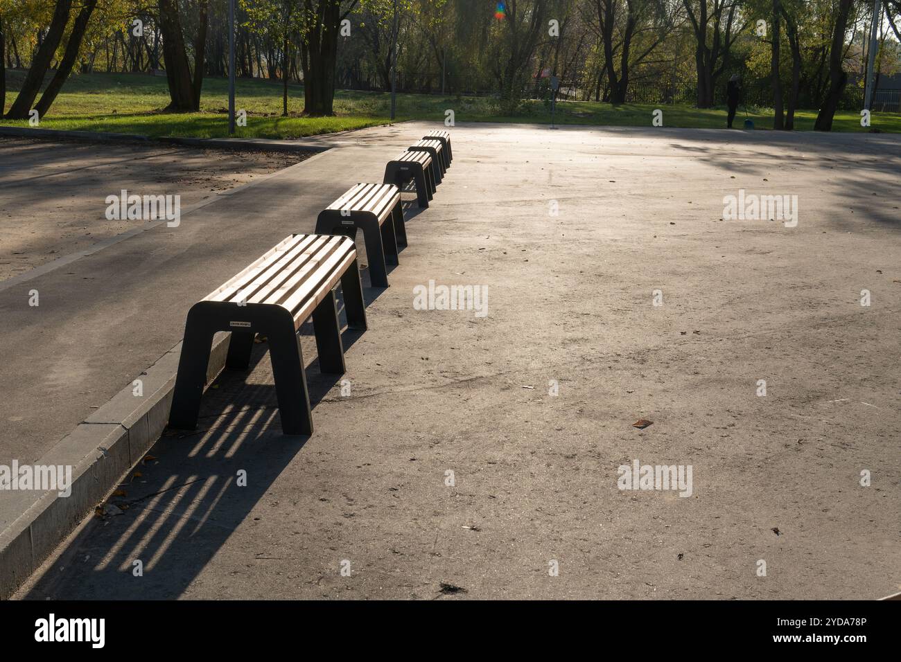 wood nature tree sitting view beautiful bench landscape garden outdoor ...