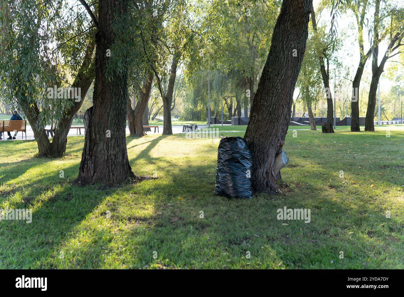 bag waste environment garbage volunteer pollution forest trash rubbish ...