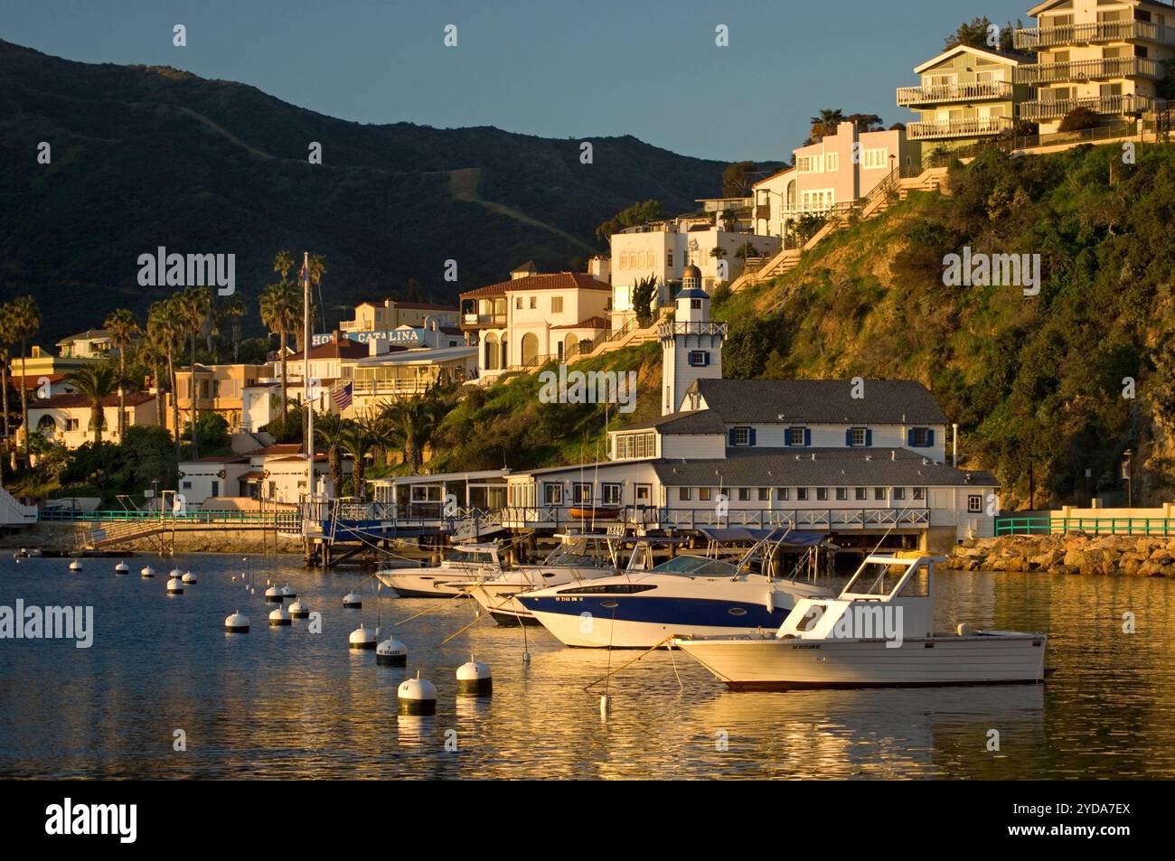 Catalina island beach avalon sunset hi-res stock photography and images - Alamy