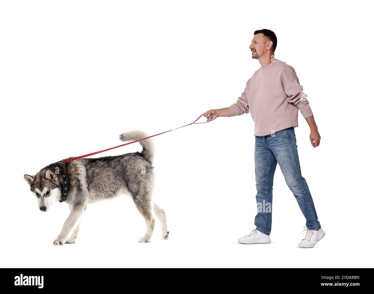 Happy man walking his dog on white background Stock Photo - Alamy