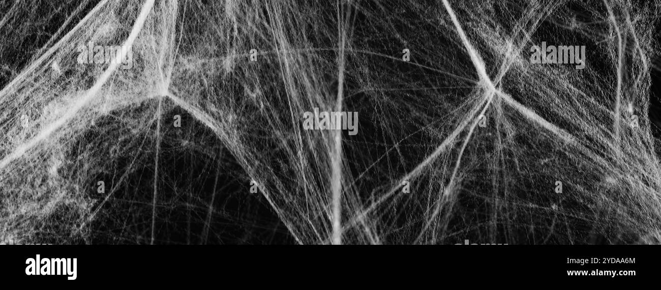 White cobweb on black background, banner design Stock Photo - Alamy