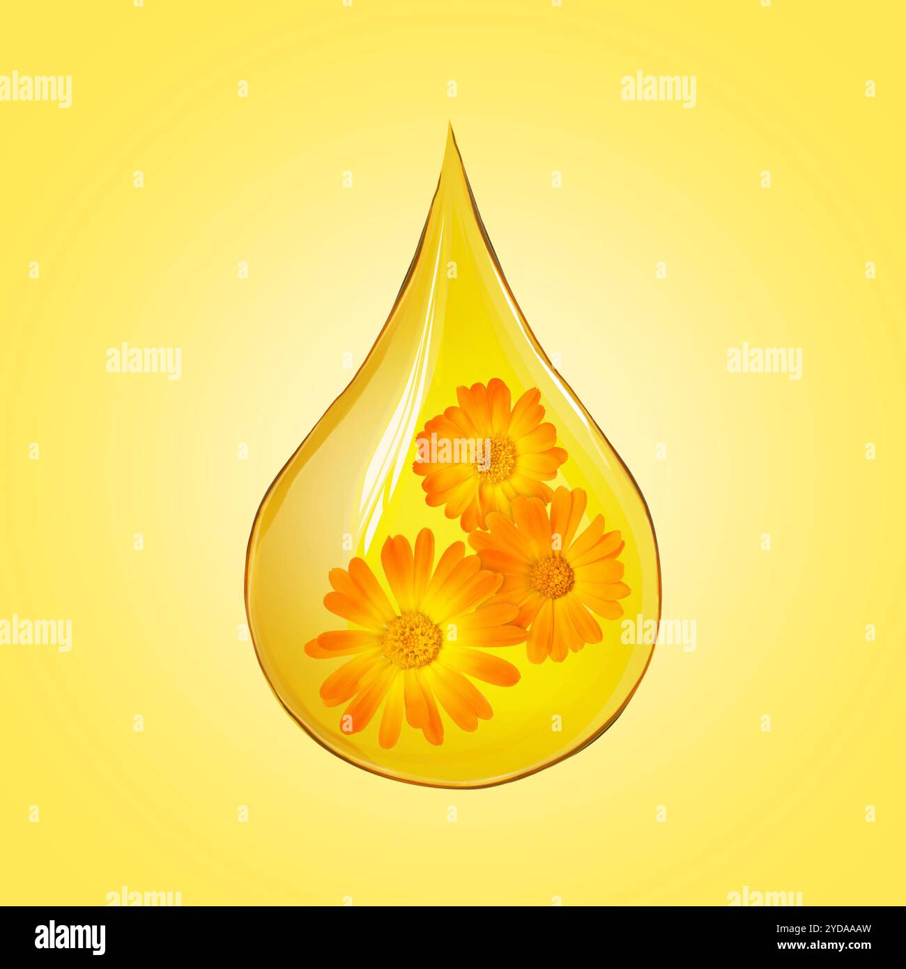 Calendula essential oil drop with flowers inside on golden background Stock Photo - Alamy