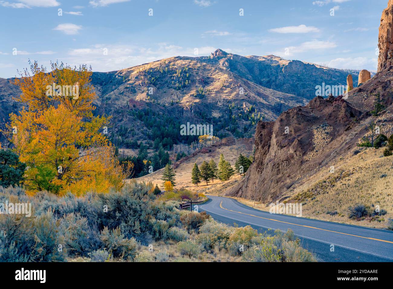 Road in mountains leads to Yellowstone National Park. This is scenic byway 14-16-20 from Cody ...