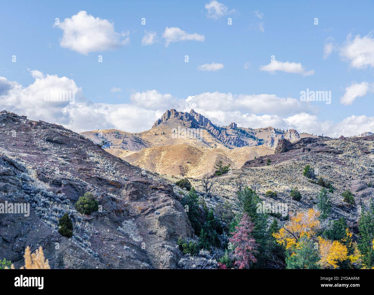 Scenic byway thru Shoshone National Forest leads to Yellowstone ...