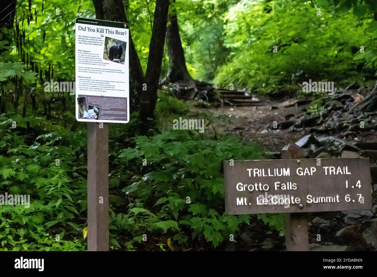 A description board for the trail in Gatlinburg, Tennessee Stock Photo ...