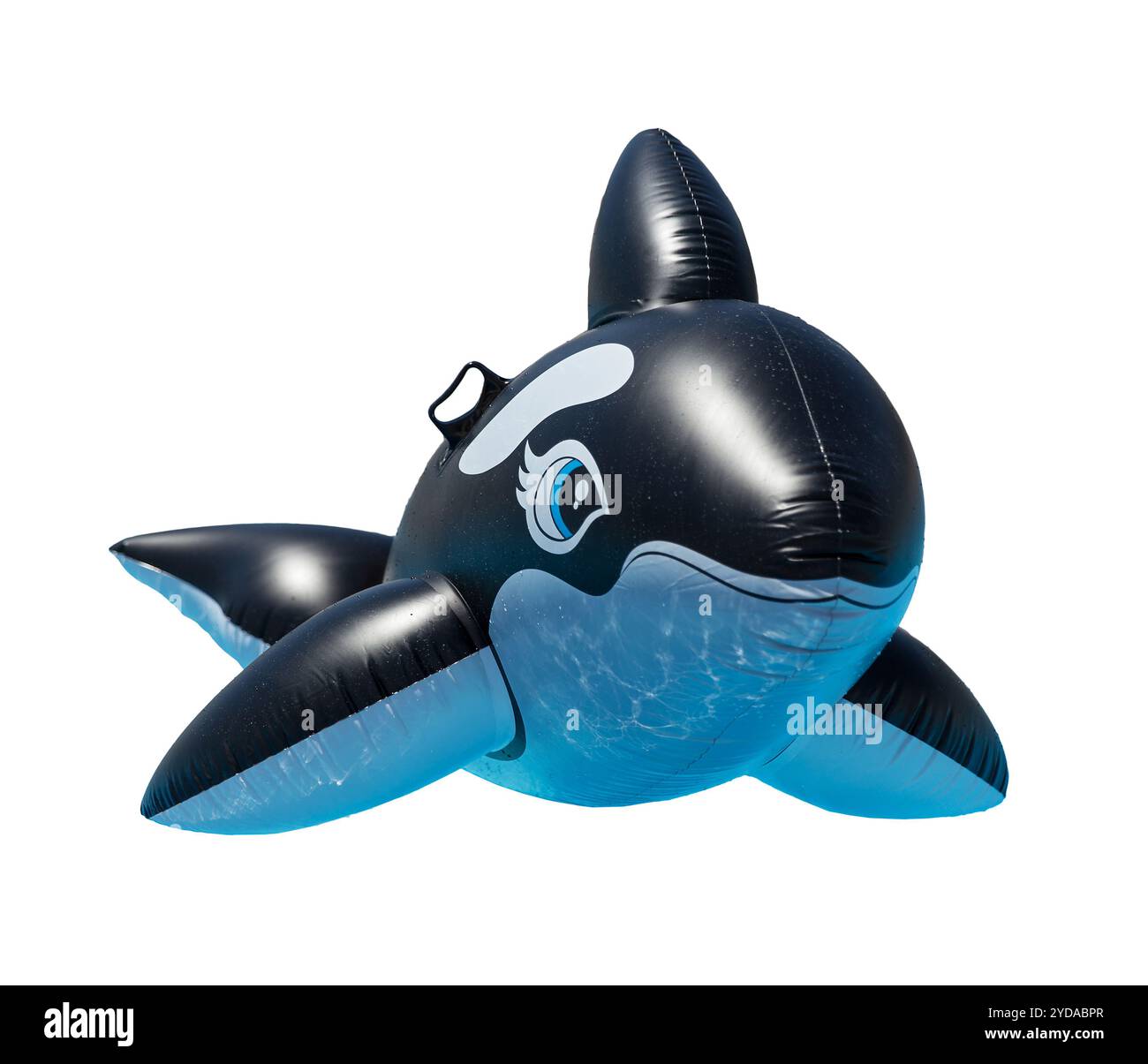 Inflatable black and white whale or dolphin isolated on white ...